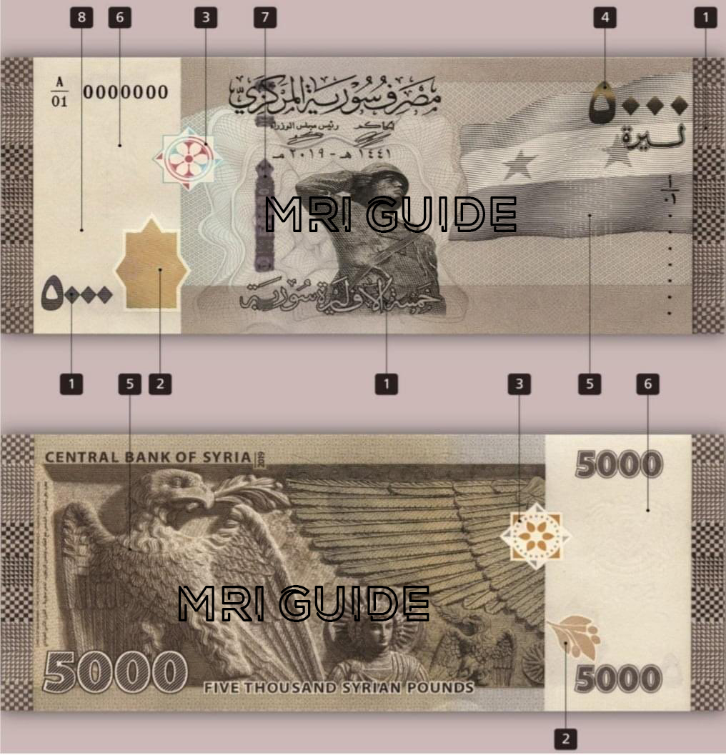 Syria - New banknote of 5,000 pounds. - MRI Guide : MRI Guide | The MRI ...
